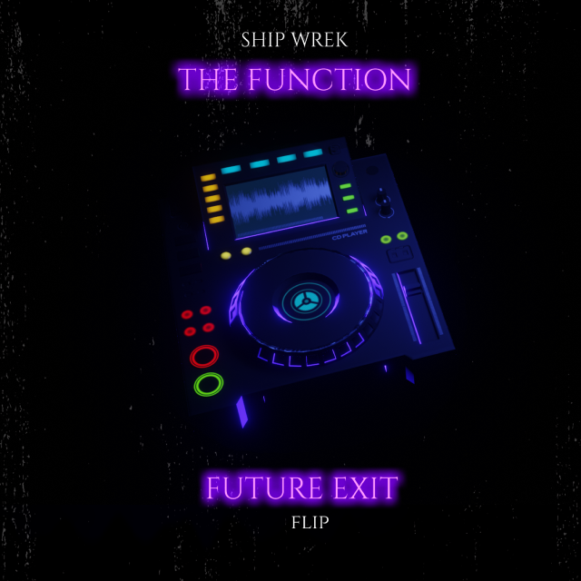THE FUNCTION FLIP (DOWNLOAD)