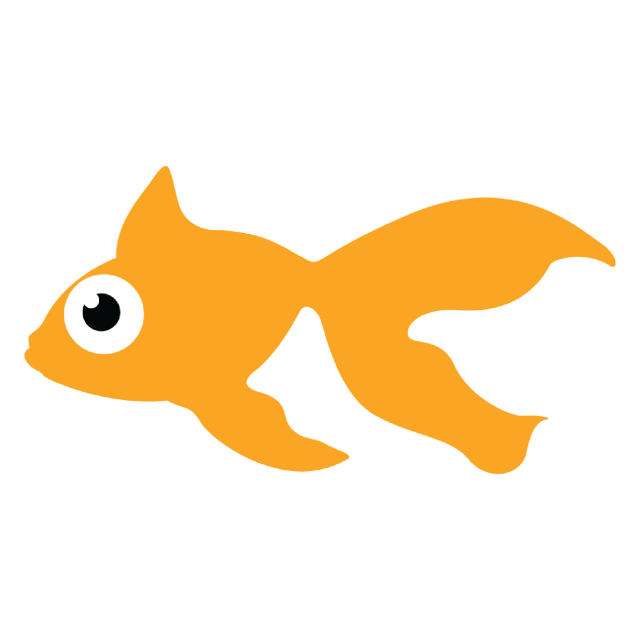 Upcoming Summer Tour Dates by GoldFish | Laylo